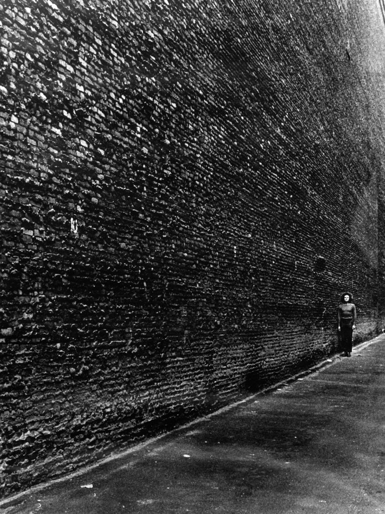 Die Wand - Digital Collection