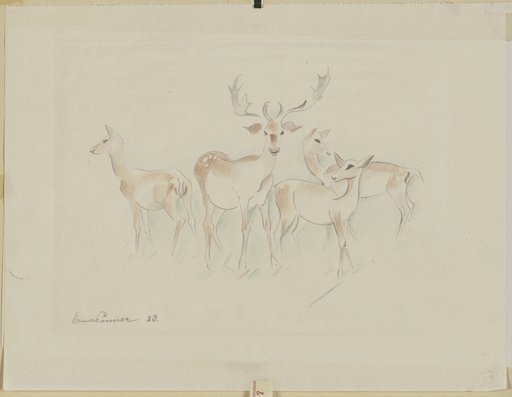 Erna Pinner - Digitale Sammlung