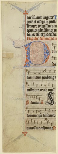 capital P - Digital Collection