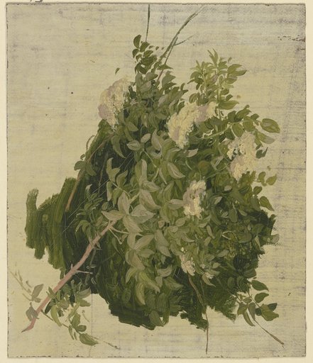 Philipp Rumpf - Digital Collection