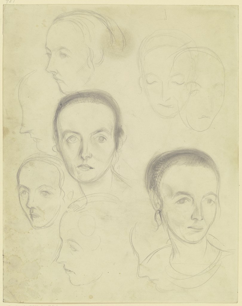 Richard Scheibe - Digitale Sammlung