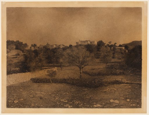 Richard Oelze - Digital Collection