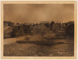 Richard Oelze - Digital Collection