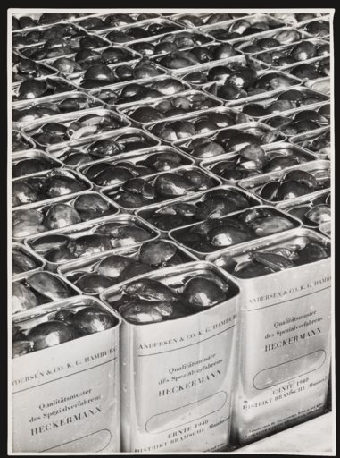 Untitled (Harvest Documentary for Andersen & Co) - Digital Collection