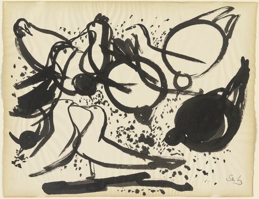 Tauben - Digitale Sammlung