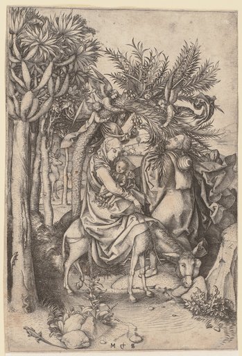 Martin Schongauer - Digital Collection