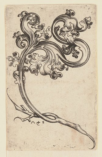Martin Schongauer - Digital Collection